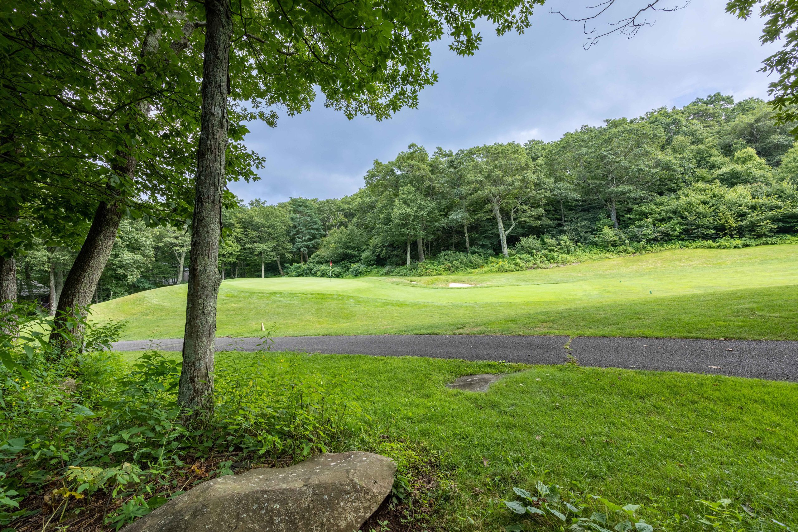 Blue Ridge Cabin Rentals | Blue Ridge Ortus in Wintergreen